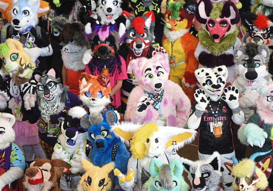 Let's Talk About Furries in Schools (Again)! | Colorado Pols