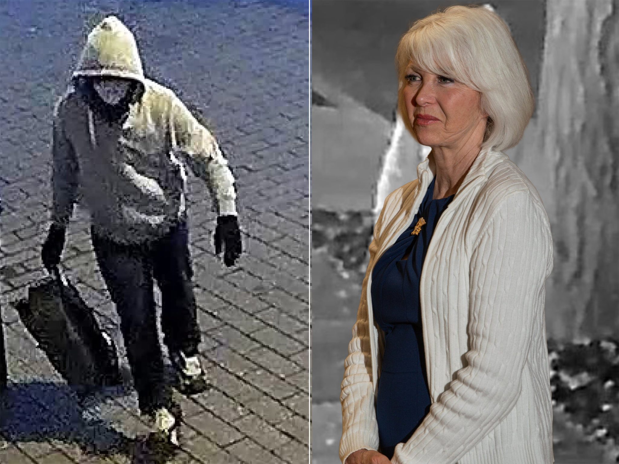 What The January 6th Pipe Bomber And Tina Peters Have In Common ...